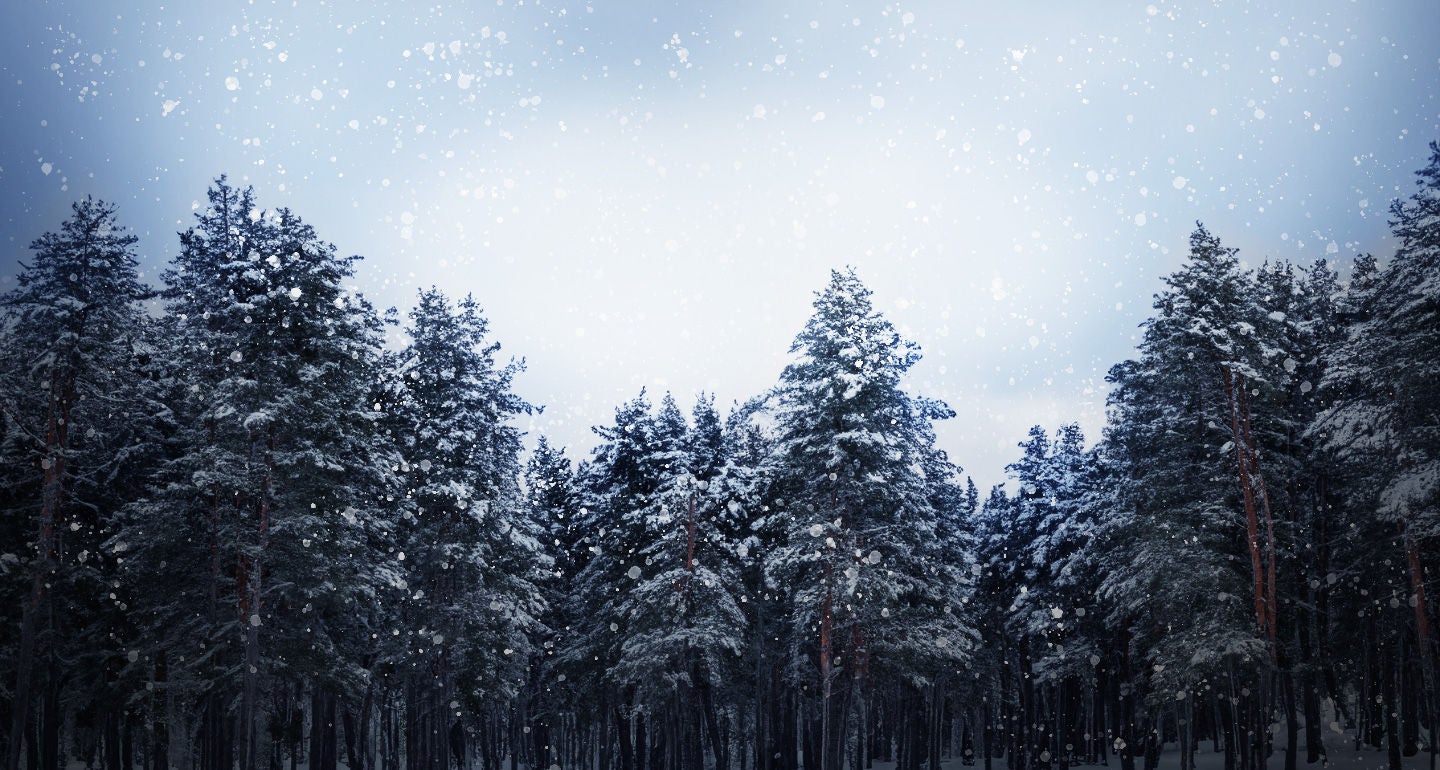 Beretta - Firearms, Guns, Pistols, Rifles, Clothing, Accessories | Beretta