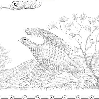 687 Silver Pigeon III - The beauty of a perfect shot