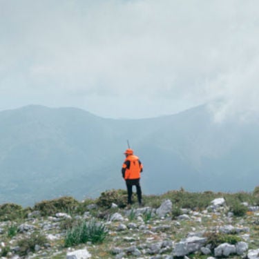 Beretta Hunting Shotguns: Over-and-under & Semiautomatics Guns ...