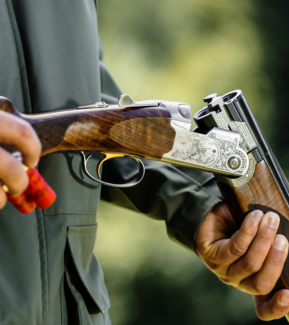 687 Silver Pigeon III - The beauty of a perfect shot